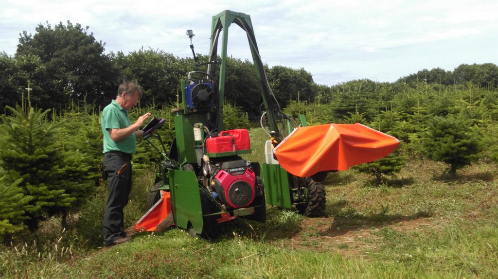 Tractor Ted - Mendip Christmas Tree Farm