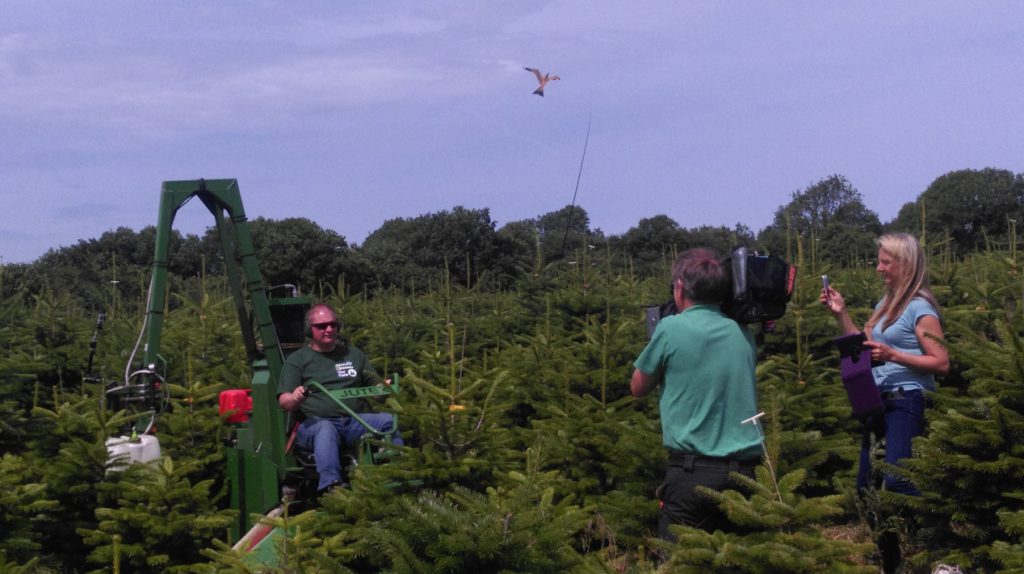 Tractor Ted - Mendip Christmas Tree Farm